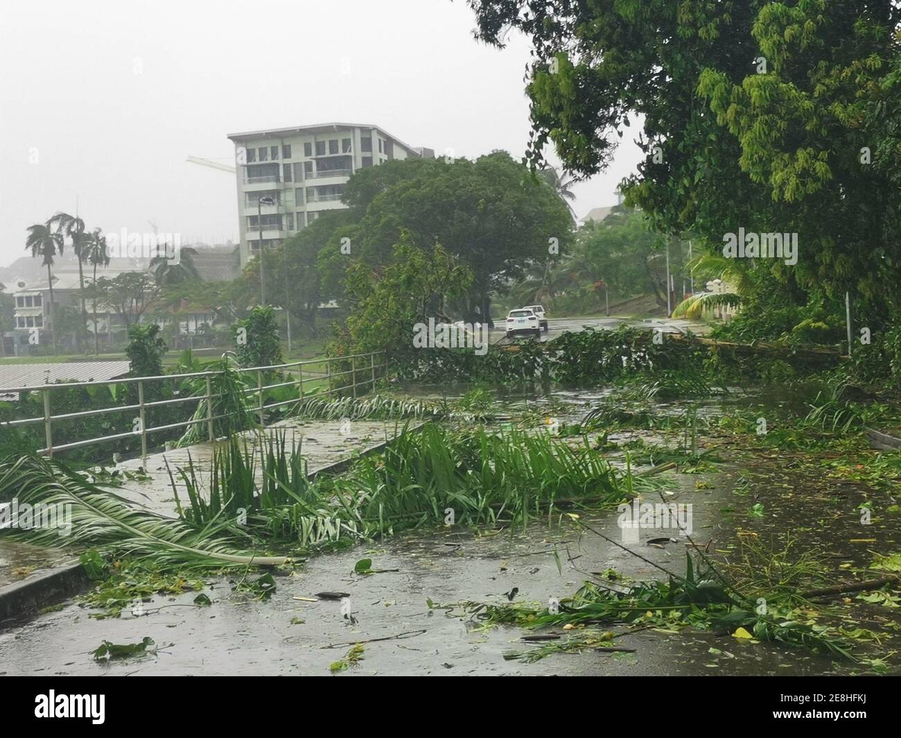 Suva, Fiji. 31st Jan, 2021. Photo shows fallen branches following the ...