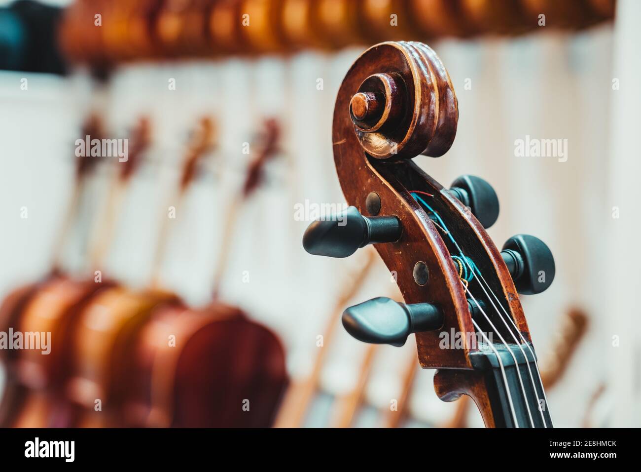 Thin violin neck with strings and tuning pegs against white wall in ...