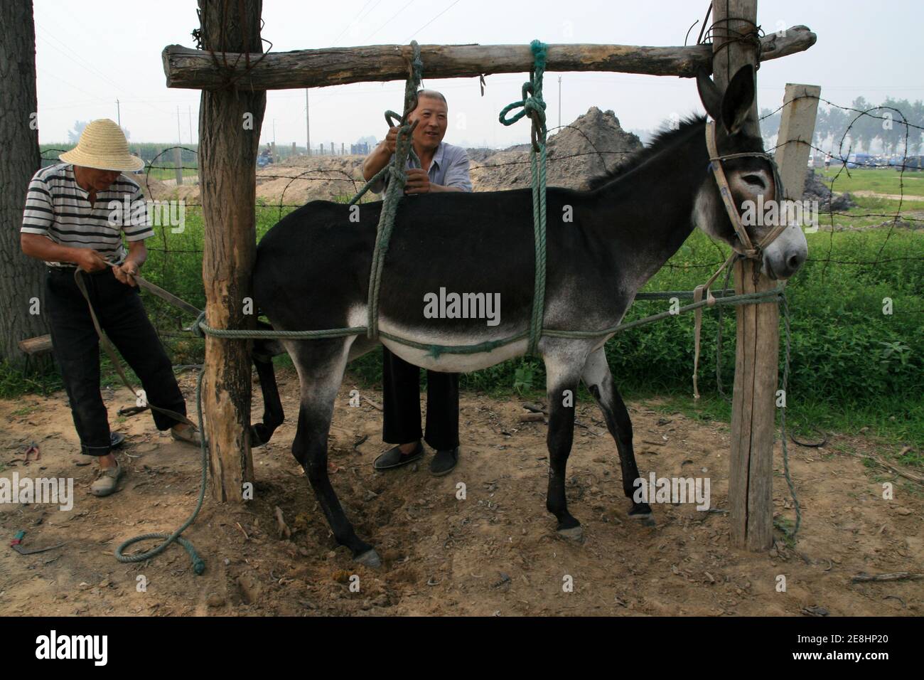 On July 21, 2007, LuanNaXian in hebei province, handicraftsmen tied up ...
