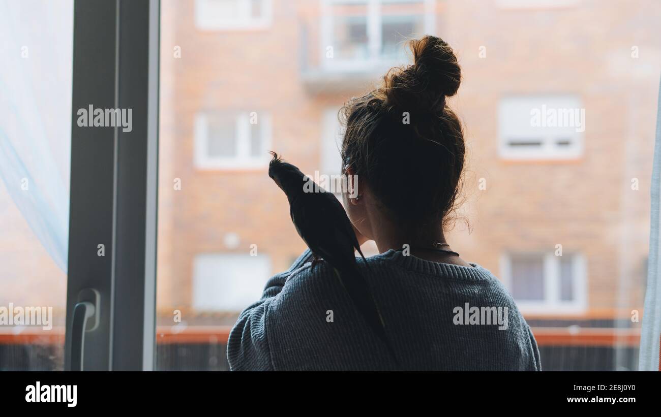 Back view of female swimming in pool against beautiful jungle landscape ...