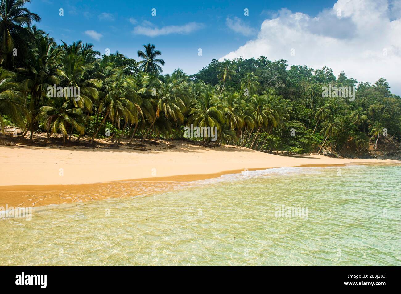 Remote tropical beach on the Unesco biosphere reserve Principe, Sao ...