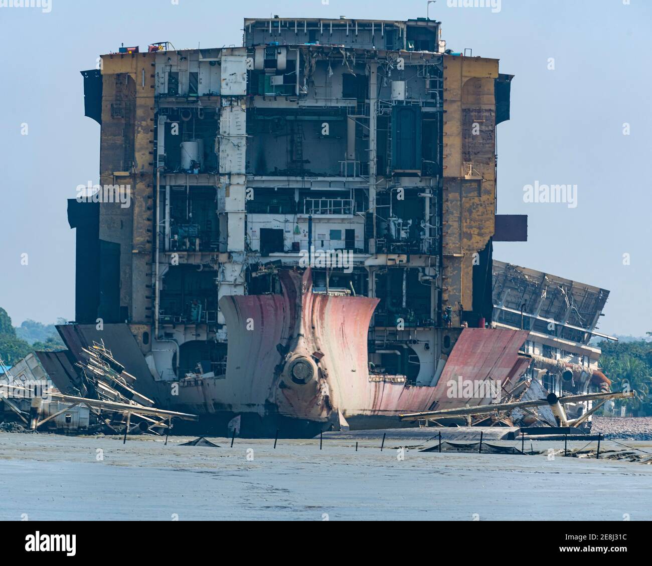 Huge close up detail hi-res stock photography and images - Alamy