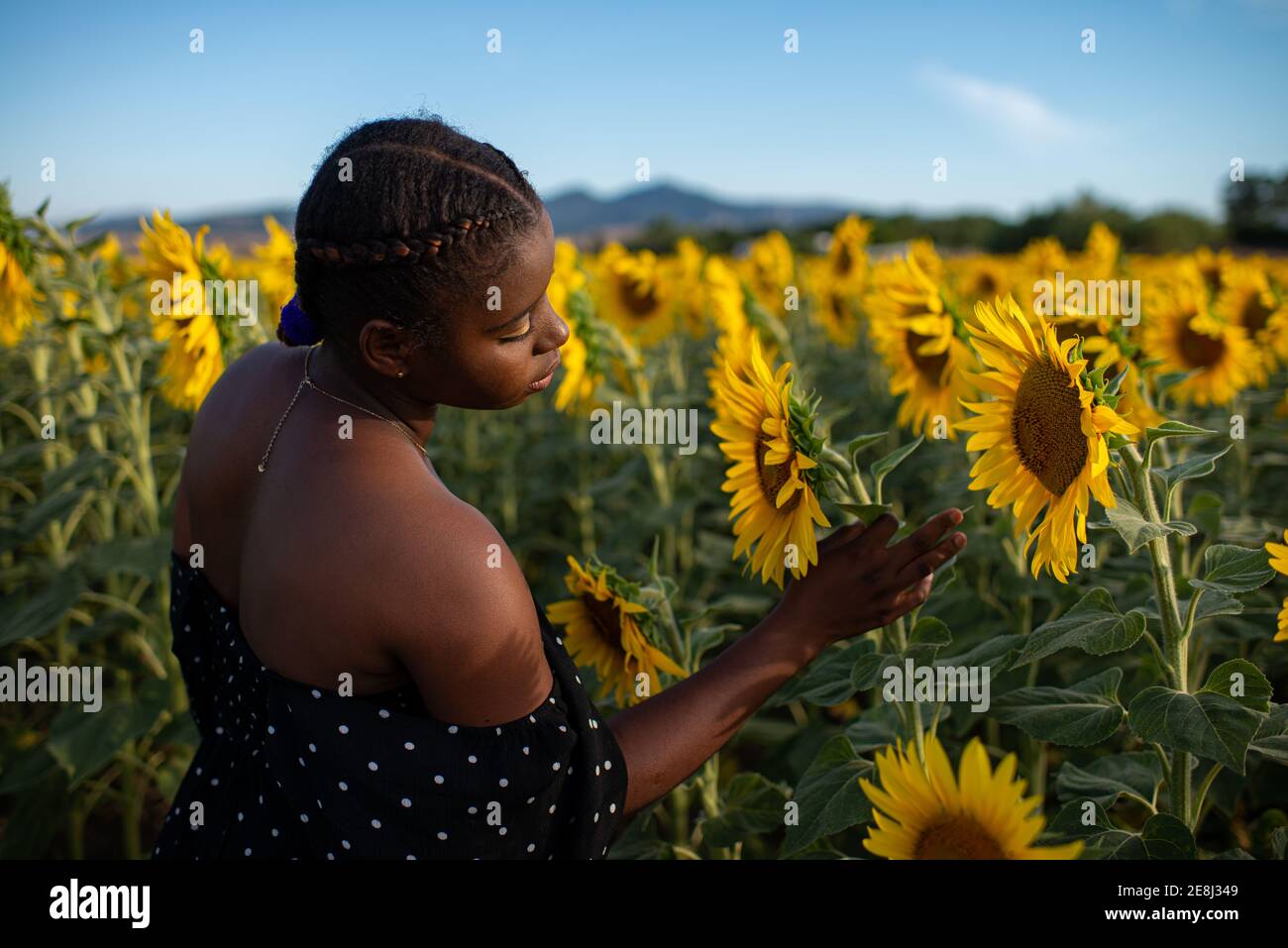African american woman in sunflower hi-res stock photography and images ...