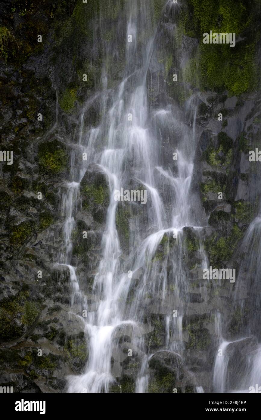 Splash of greenery hi-res stock photography and images - Alamy