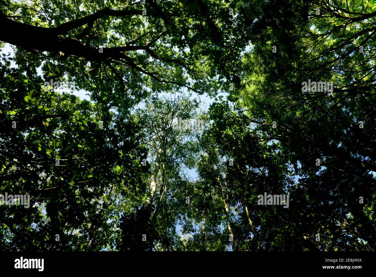 Crowding hi-res stock photography and images - Alamy