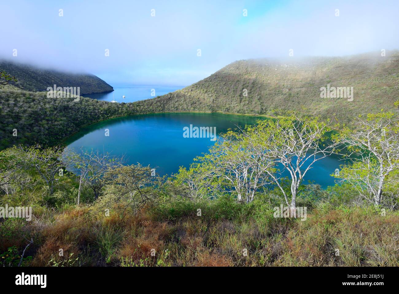 View over the Darwin saltwater lake and the anchorage of Tagus Cove ...