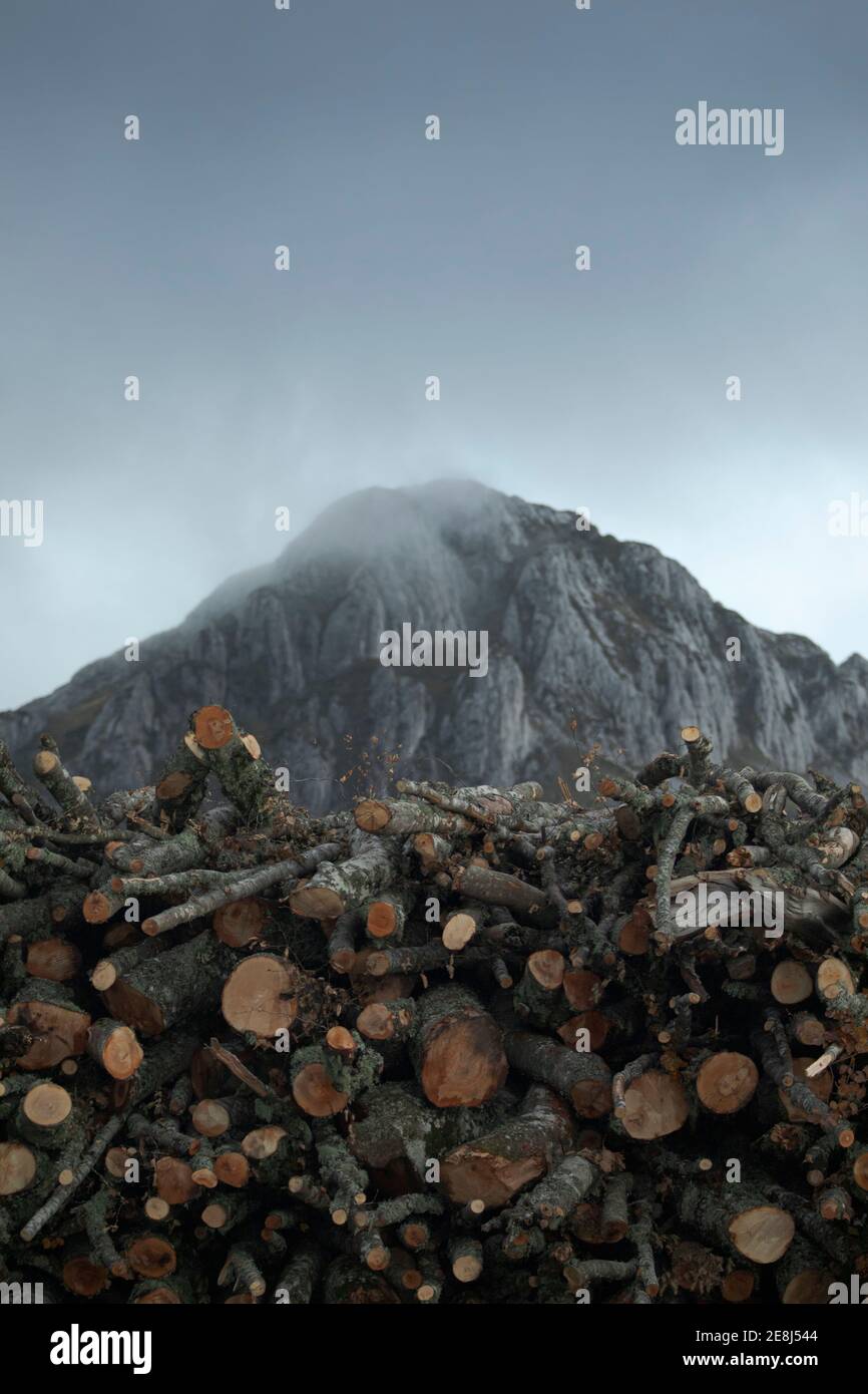 Scenery of heaped timber logs placed on rough severe mountain bottom ...