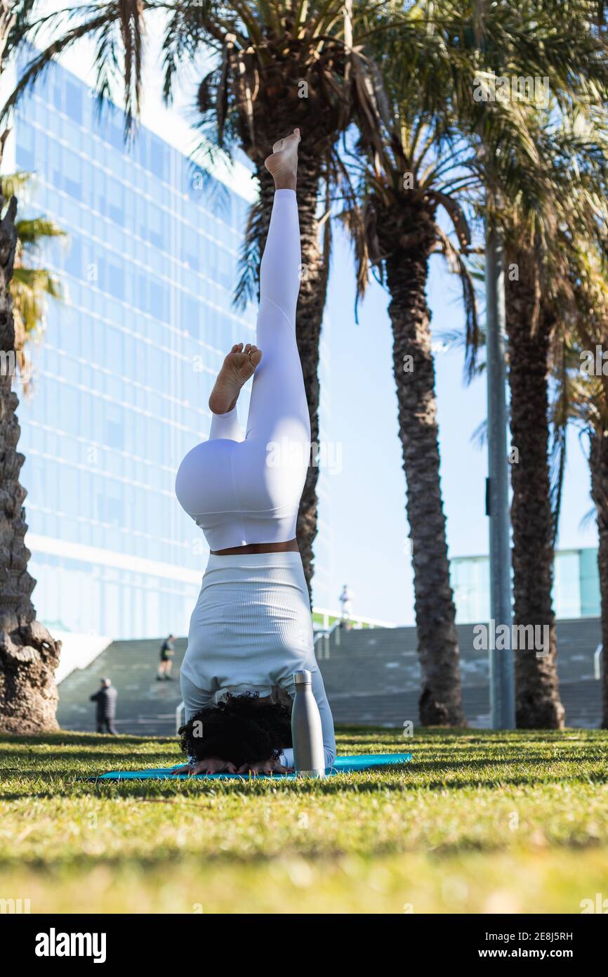 Eagle legs hi-res stock photography and images - Alamy