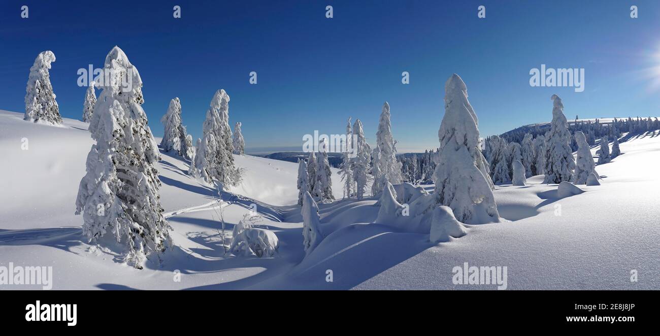 Feldberg panorama hi-res stock photography and images - Alamy