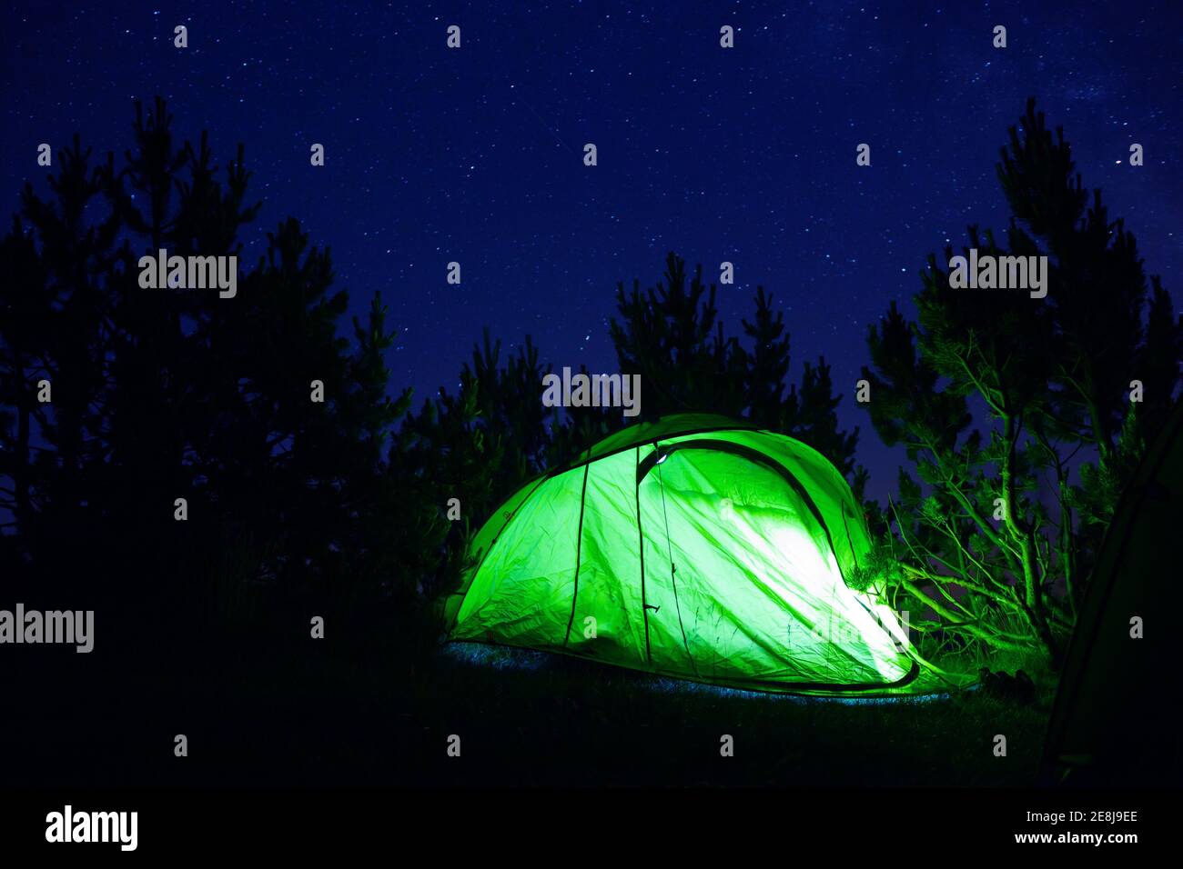 Green tent with shiny light among high tree silhouettes under starry ...