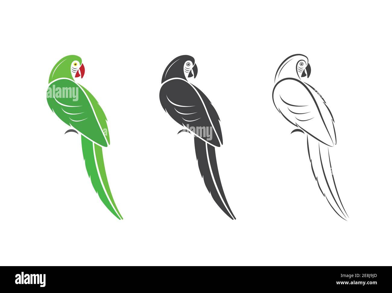 Vector of parrot design on white background. Easy editable layered ...