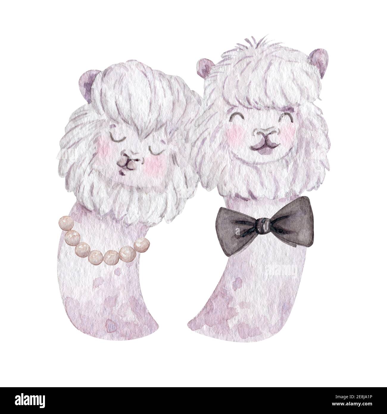 Cute animal bride and groom isolated on white background Stock Photo ...