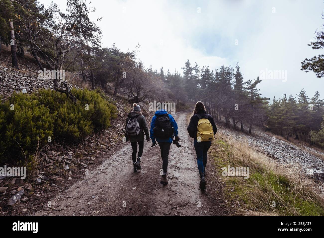 Back view of anonymous trekkers with rucksacks strolling on walkway ...