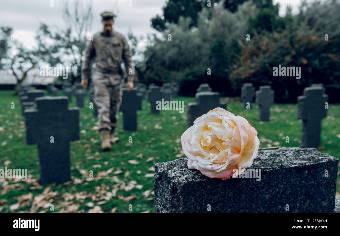 Soft focus of crop unrecognizable female barkeeper clinking with ...