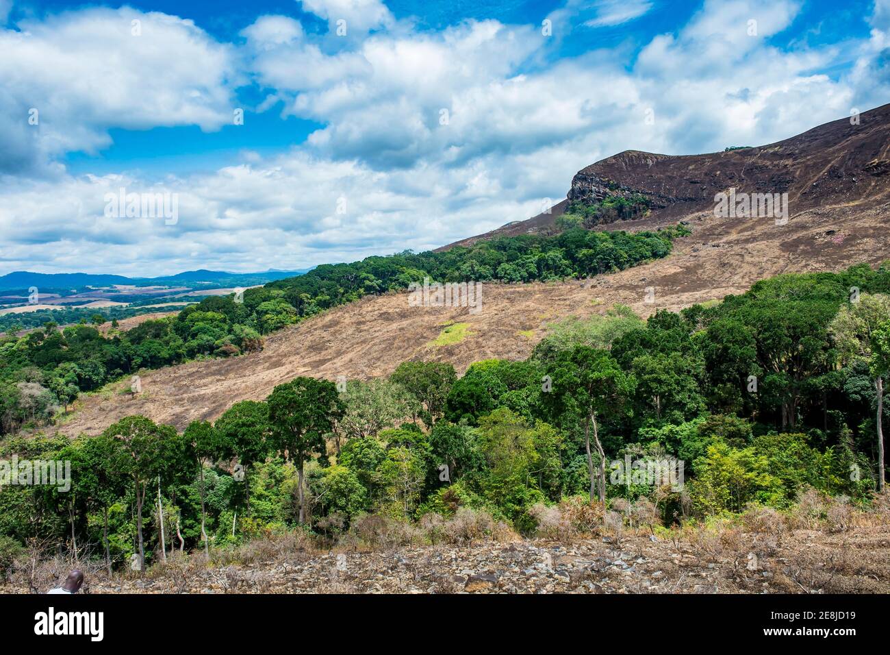 Padges of rainforest in the savannah of the Unesco world heritage sight ...