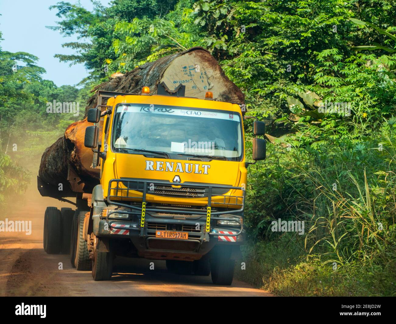 Logging truck in the jungle, Yokadouma, Eastern Cameroon Stock Photo ...