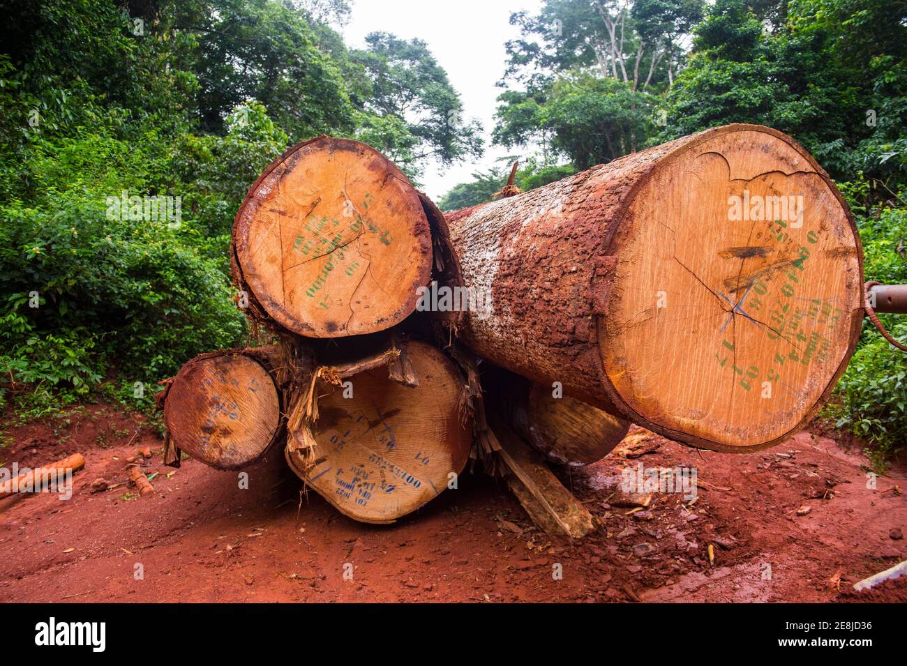 Logging truck africa hi-res stock photography and images - Alamy