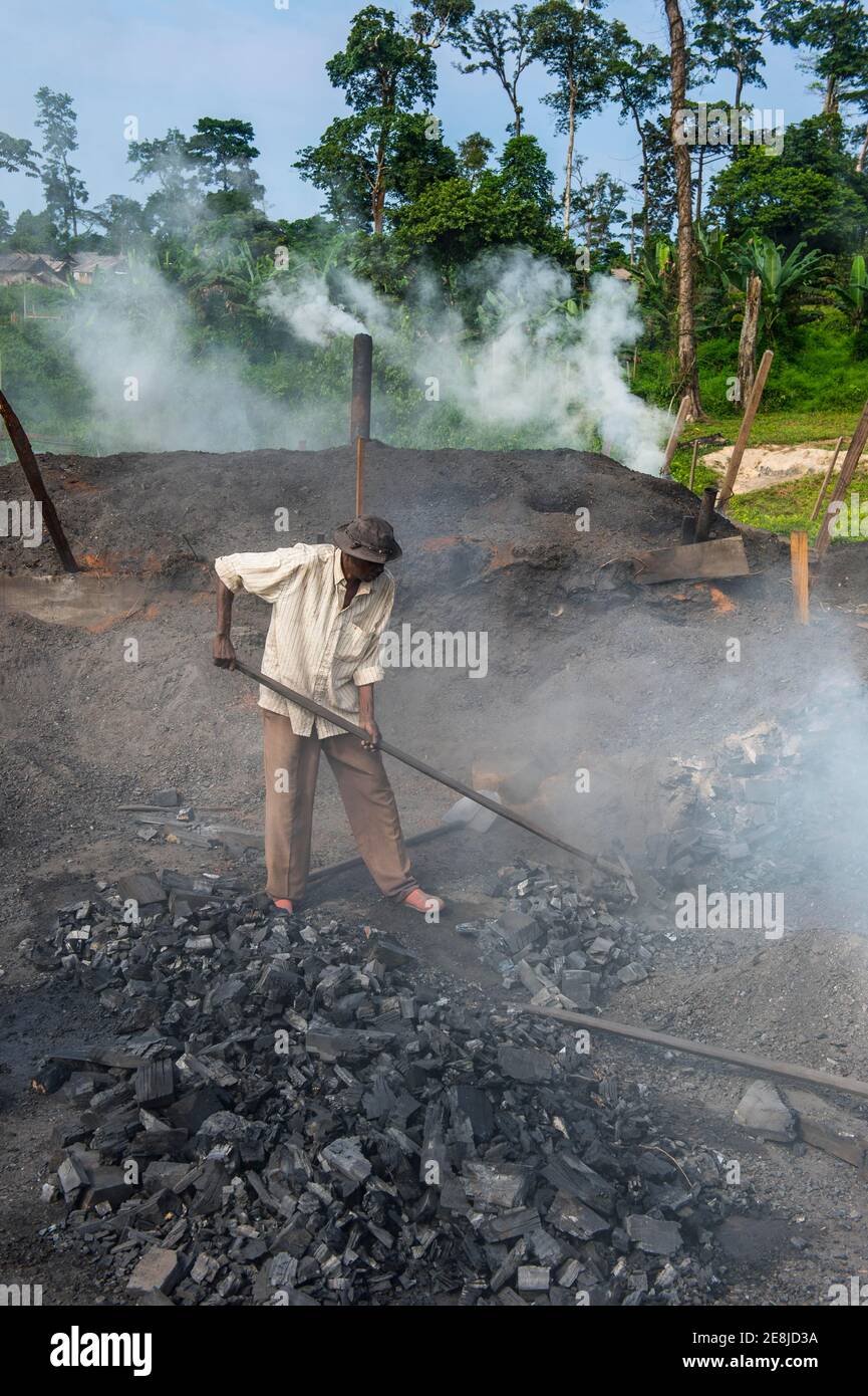 Coal production out of wood, Libongo, deep in the jungle of Cameroon ...
