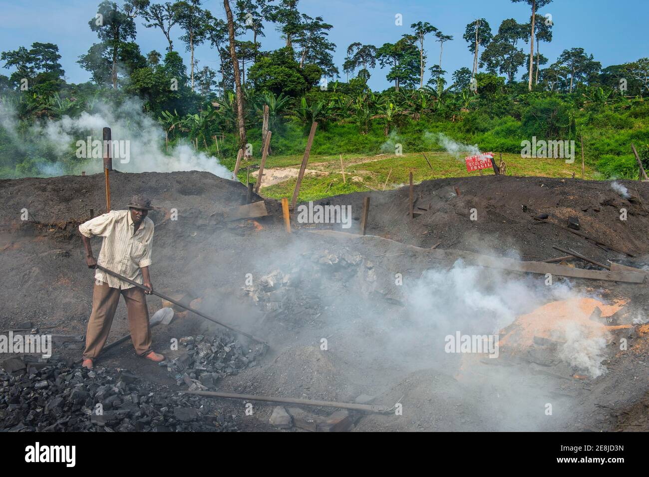 Coal production out of wood, Libongo, deep in the jungle of Cameroon ...