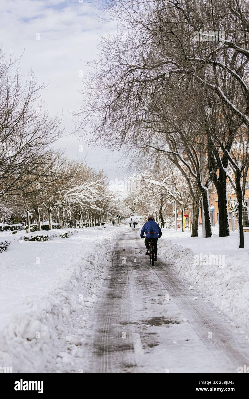 Back view of anonymous male cyclist riding bicycle on straight pathway ...