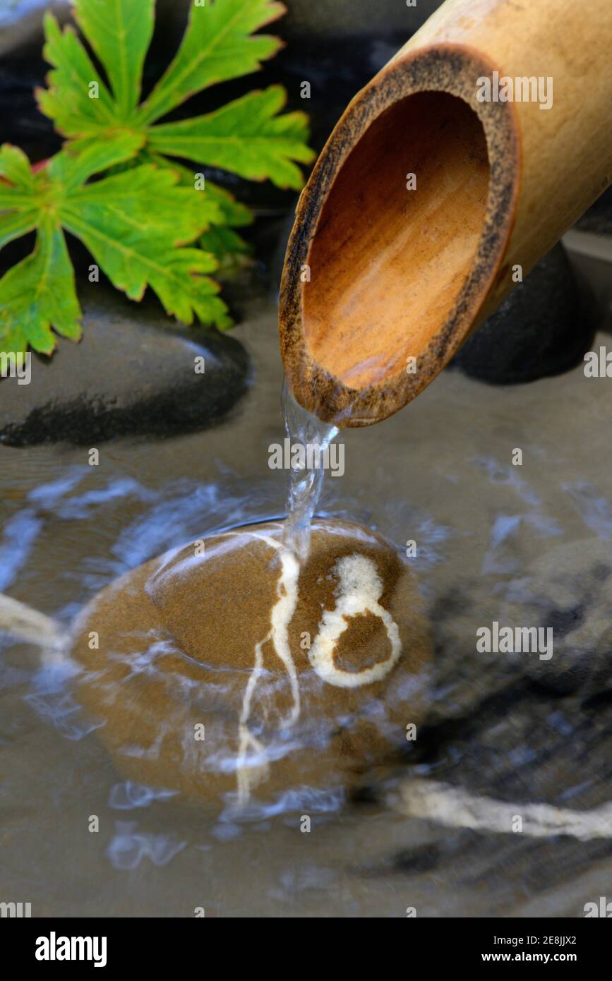 Water flows from bamboo cane, bamboo, water jet Stock Photo - Alamy