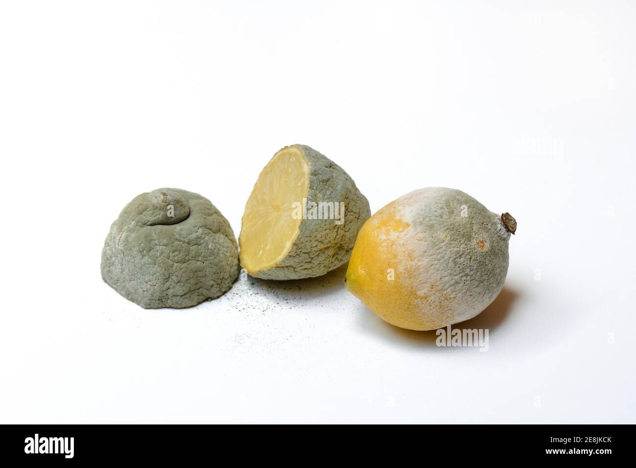 Moulded lemon, mould ( Citrus) lemon Stock Photo - Alamy