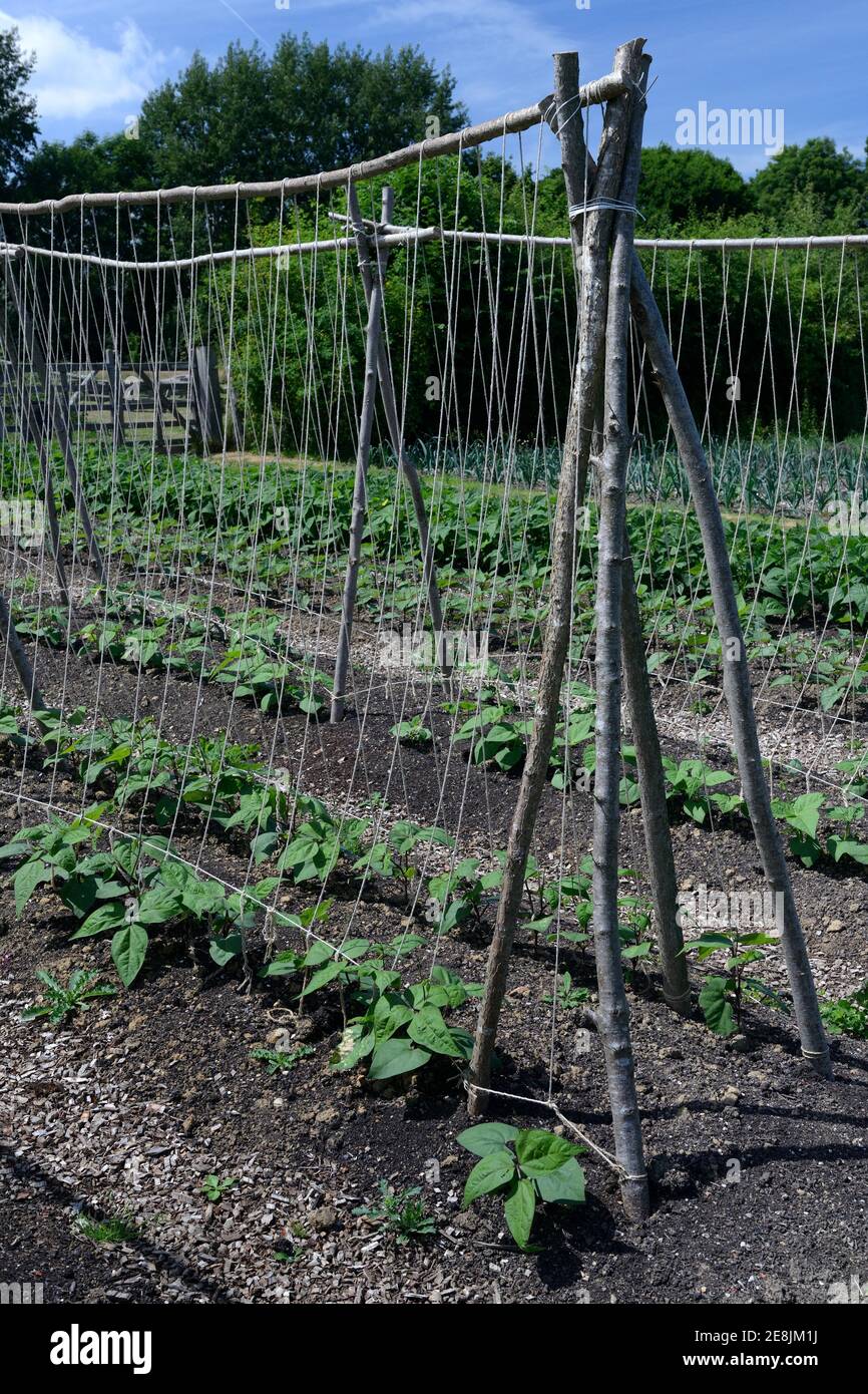 Climbing aid hi-res stock photography and images - Alamy