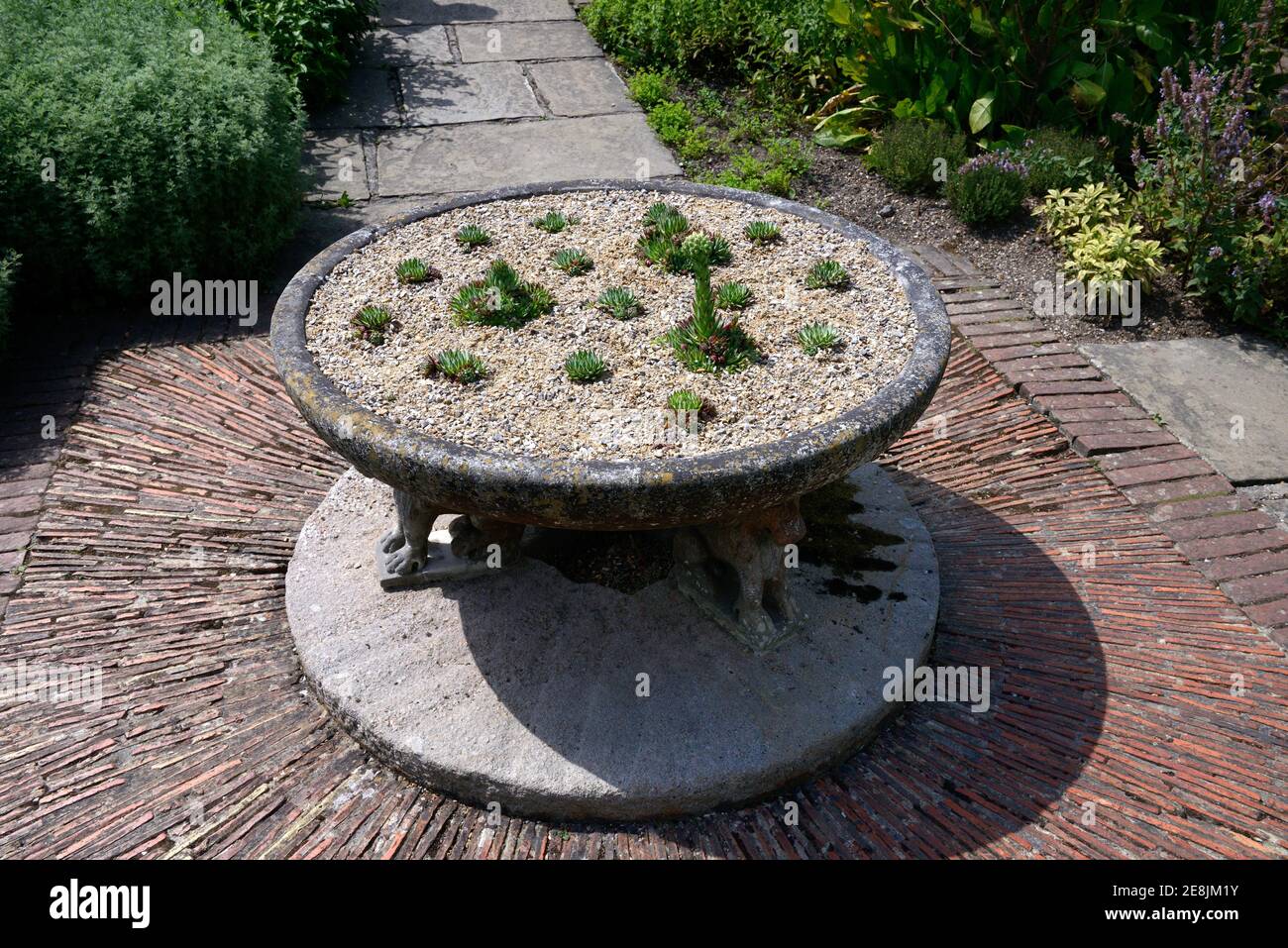 Stone table with( Echeveria) , rock garden Stock Photo - Alamy