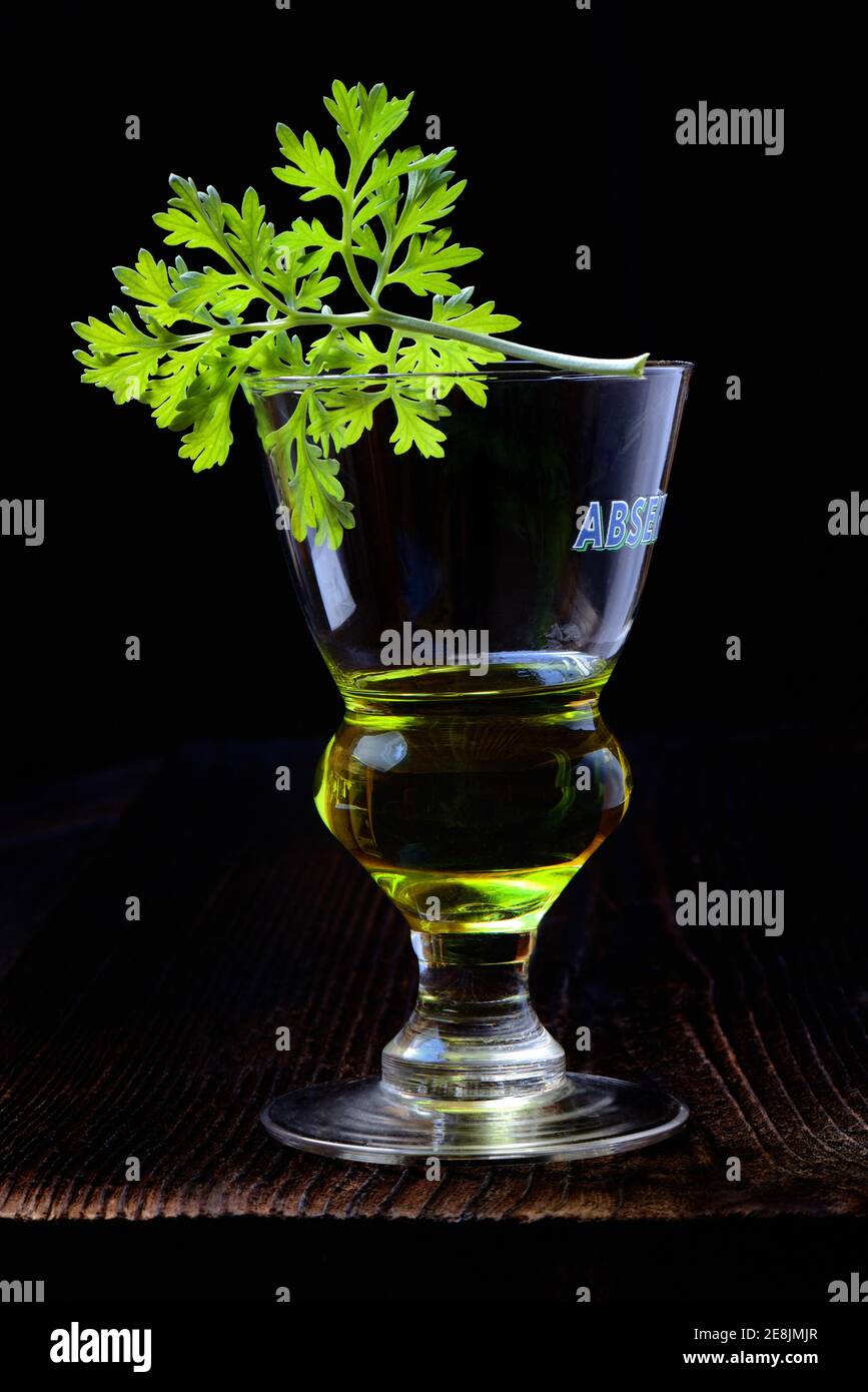 Absinthe wormwood hi-res stock photography and images - Alamy