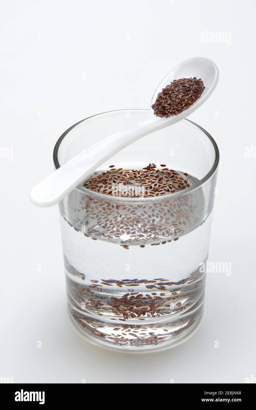 Glass of water and spoon with psyllium, sand plantain, Plantago ...