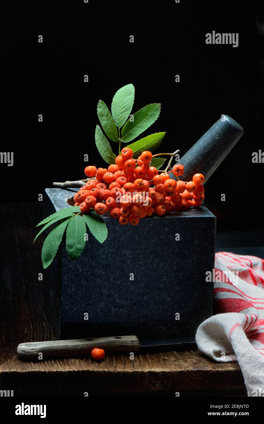 Rowanberries in grated shell, rowan ash, Sorbus aucuparia Stock Photo ...