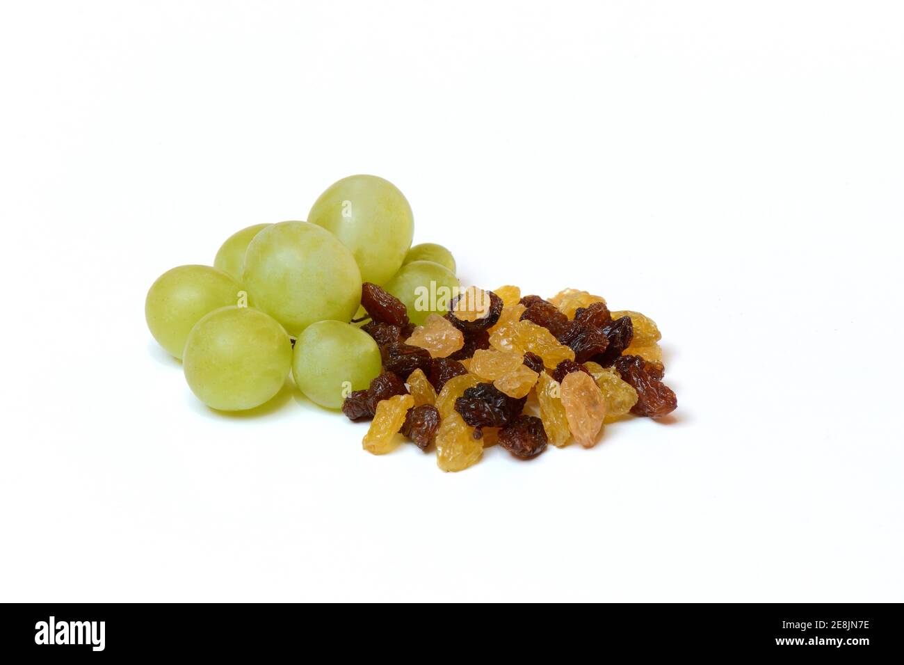 Botany vitaceae grapes hi-res stock photography and images - Alamy