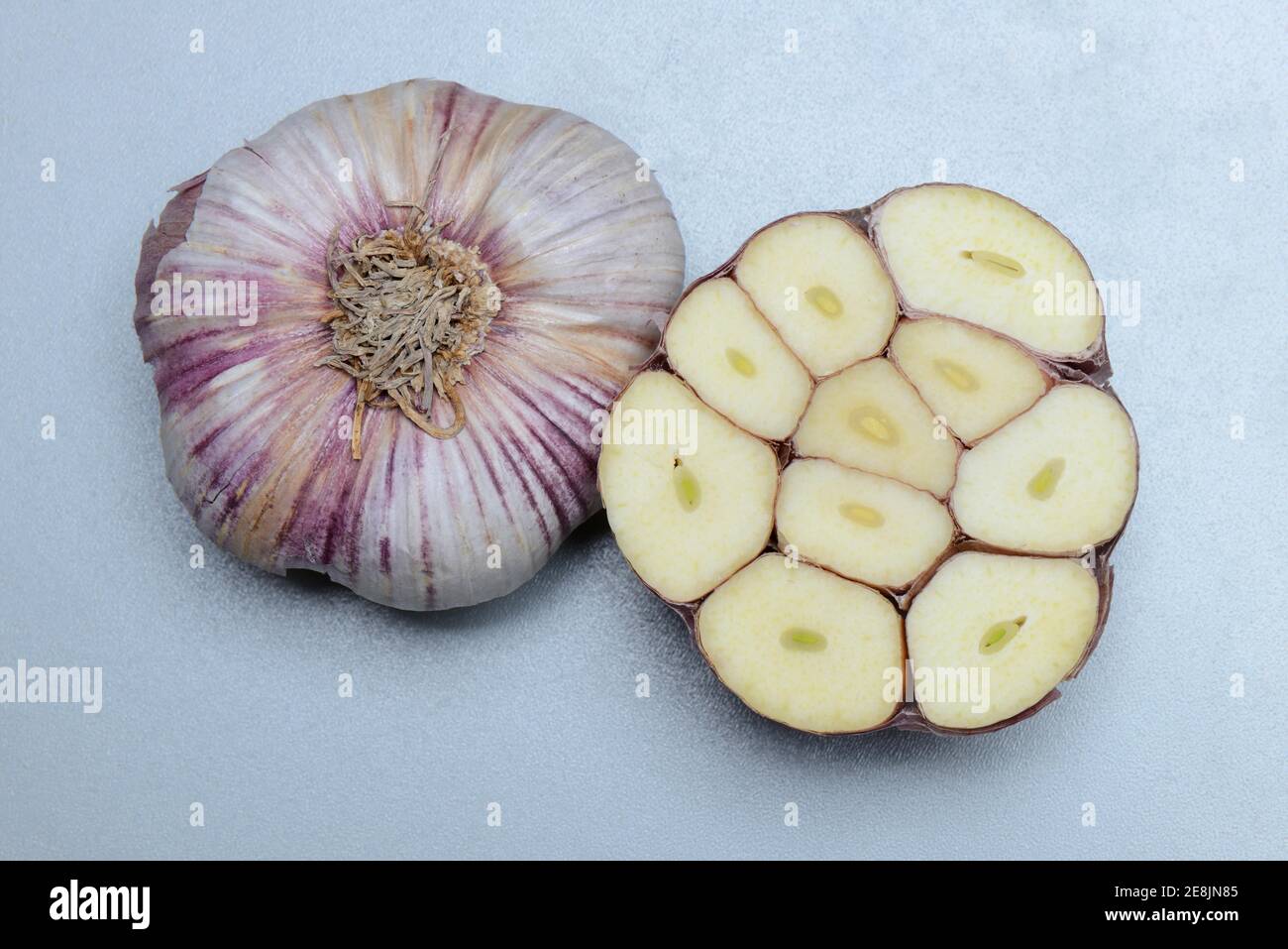 Cross-section through garlic bulb, Allium sativum Stock Photo - Alamy