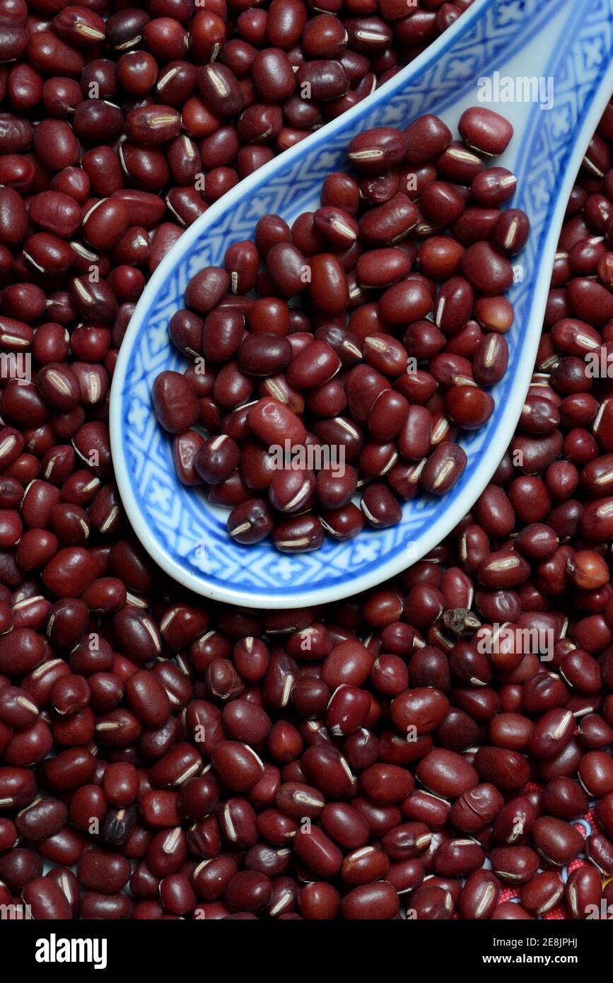 Azuki bean nutrition hi-res stock photography and images - Alamy