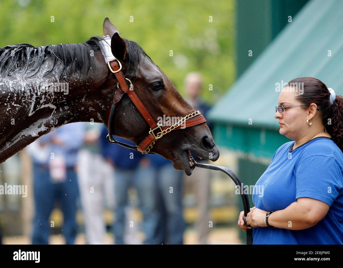Isabel horse hi-res stock photography and images - Alamy