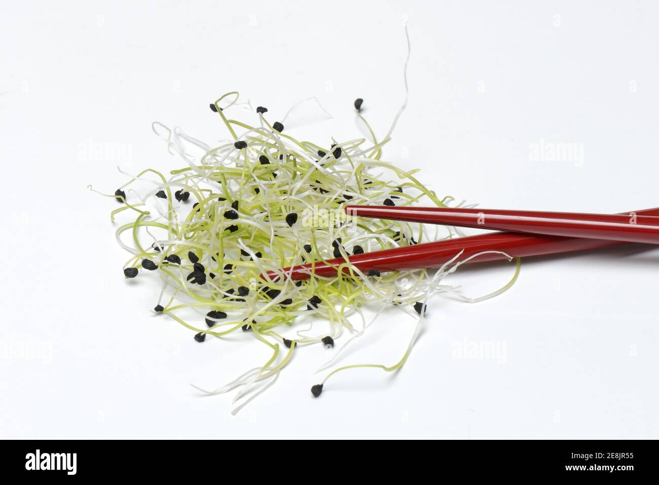 Onion sprouts with chopsticks, Allium spec Stock Photo - Alamy