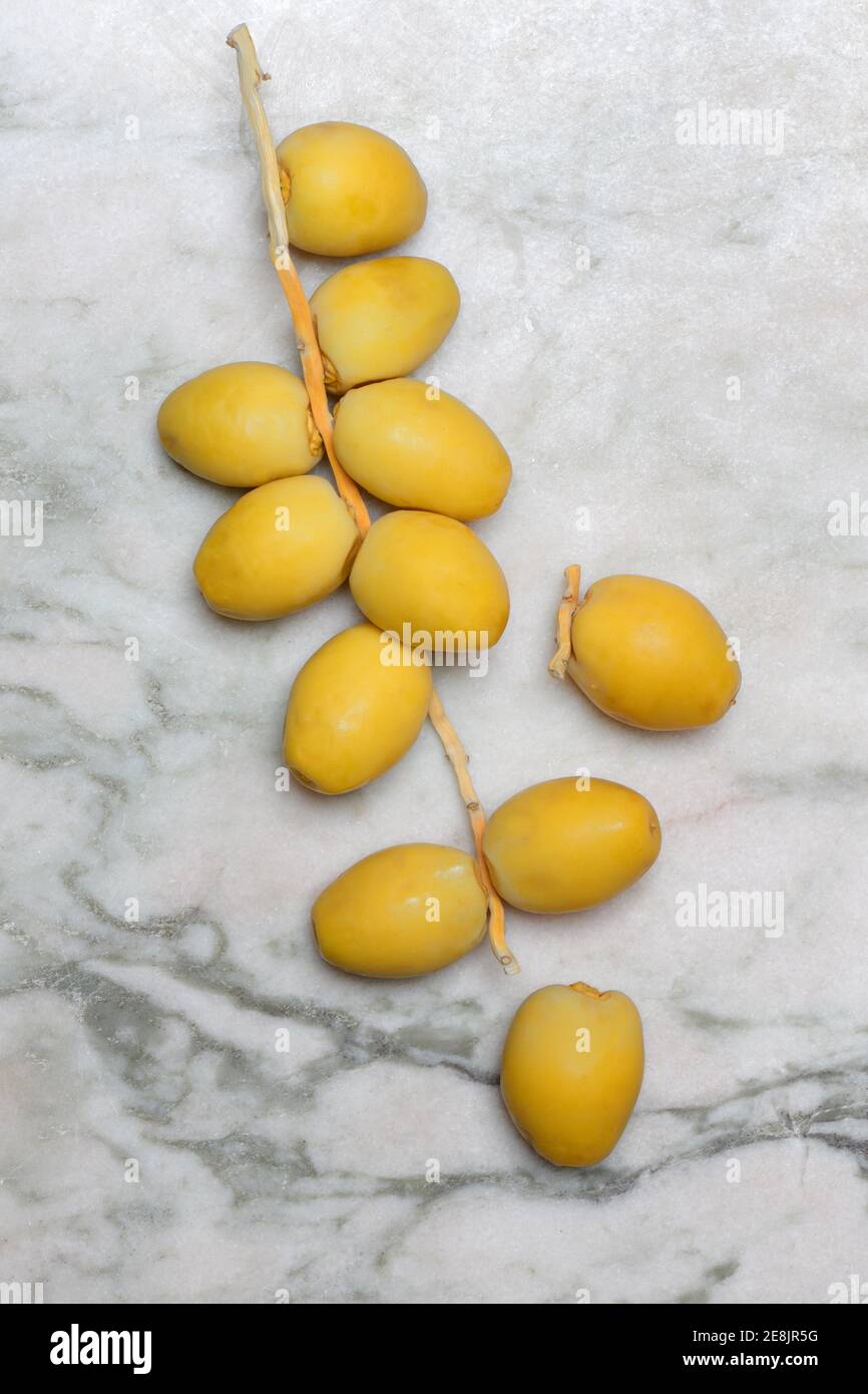 Fresh dates, Bahri date, Origin Namibia Stock Photo - Alamy