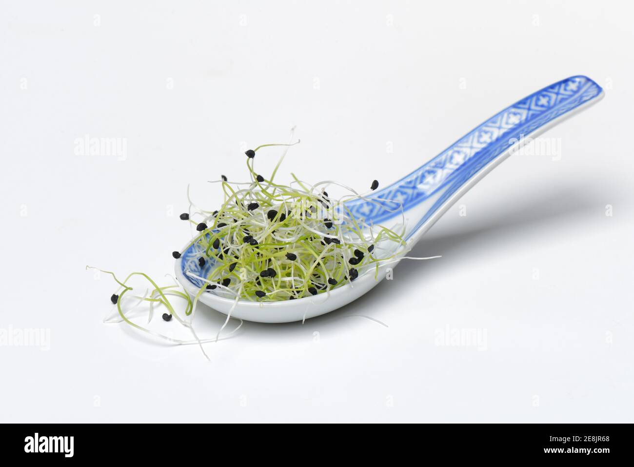 Onion sprouts in Asian spoon, Allium spec Stock Photo - Alamy