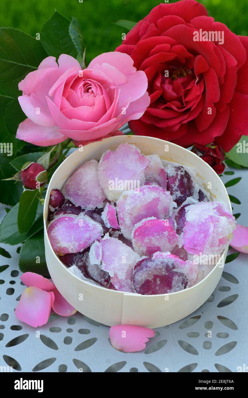 Candied rose petals in box, sugared, sugared, rose petals Stock Photo ...
