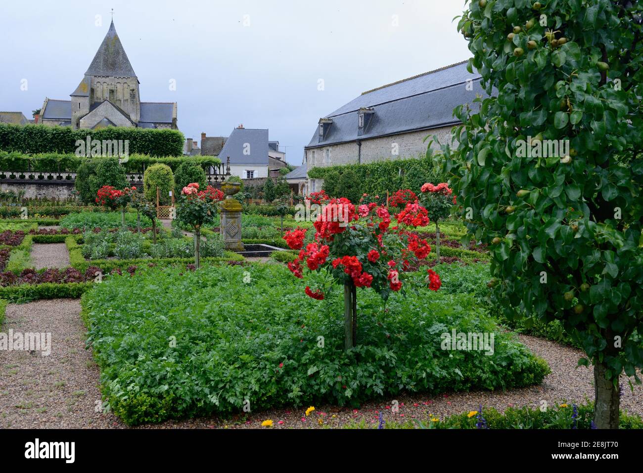 Vegetable garden of Villandry Castle, Chateau de, Indre-et-Loire, Loire ...