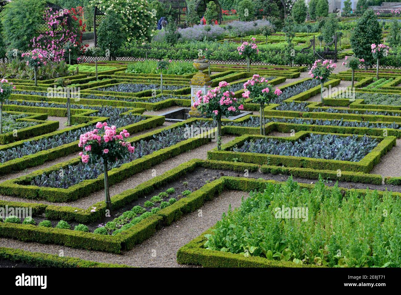 Vegetable garden of Villandry Castle, Chateau de, Indre-et-Loire, Loire ...