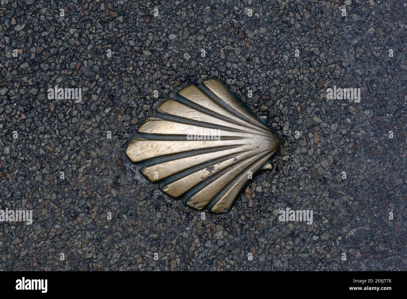 Scallop in asphalt, pilgrim shell, pilgrim sign, pilgrim way, pilgrim ...