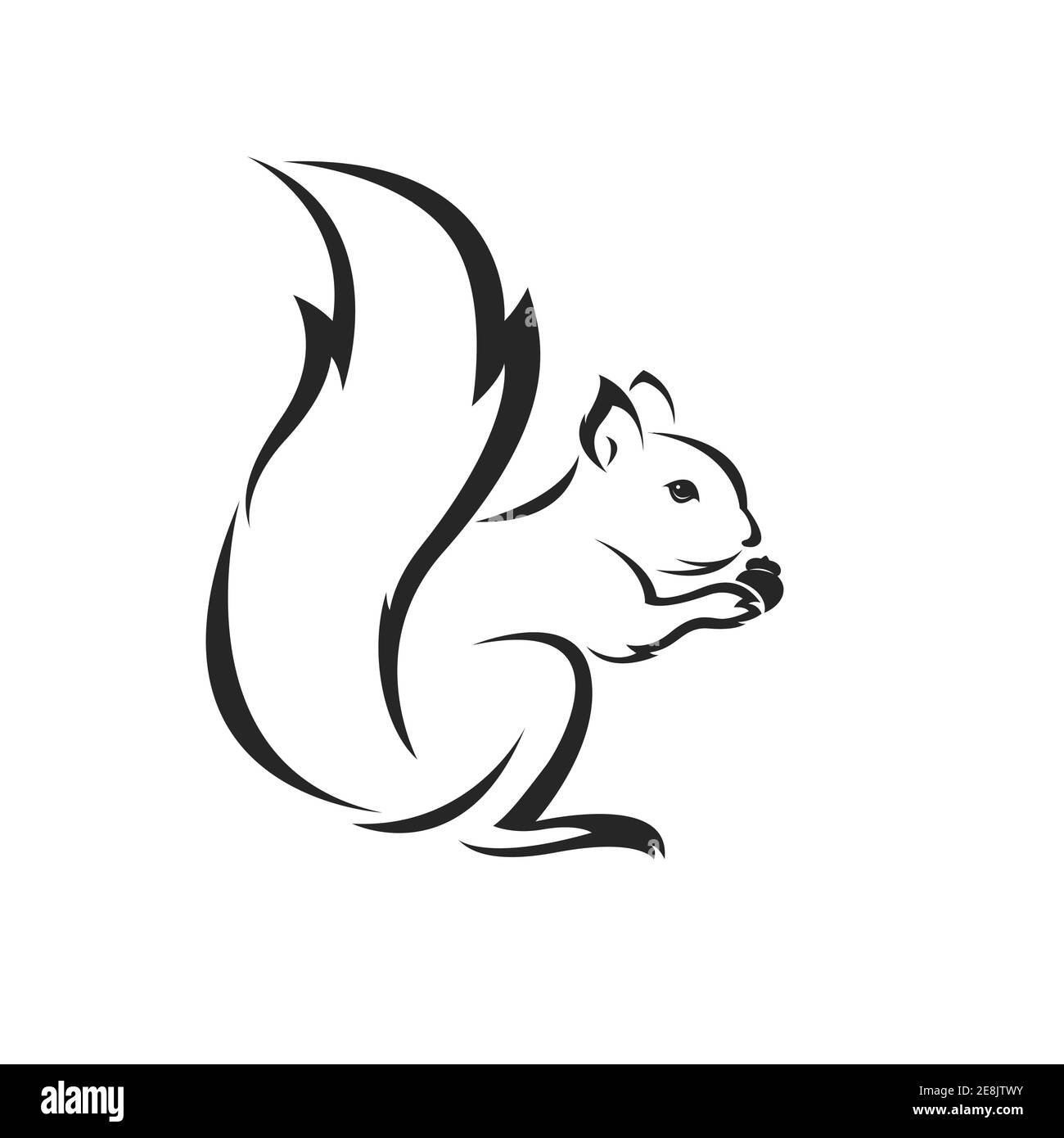 Squirrel Vector
