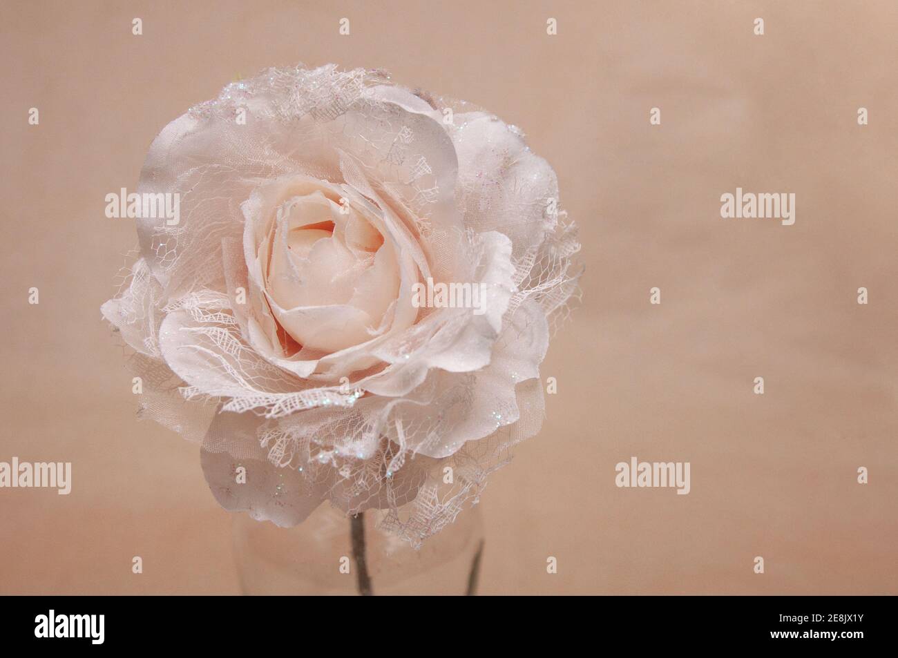 artificial rose in pastel colors on a beige background, minimalism ...