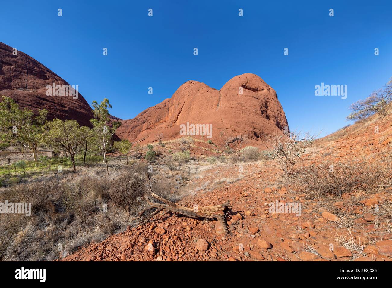 Alice springs desert park australia hi-res stock photography and images ...