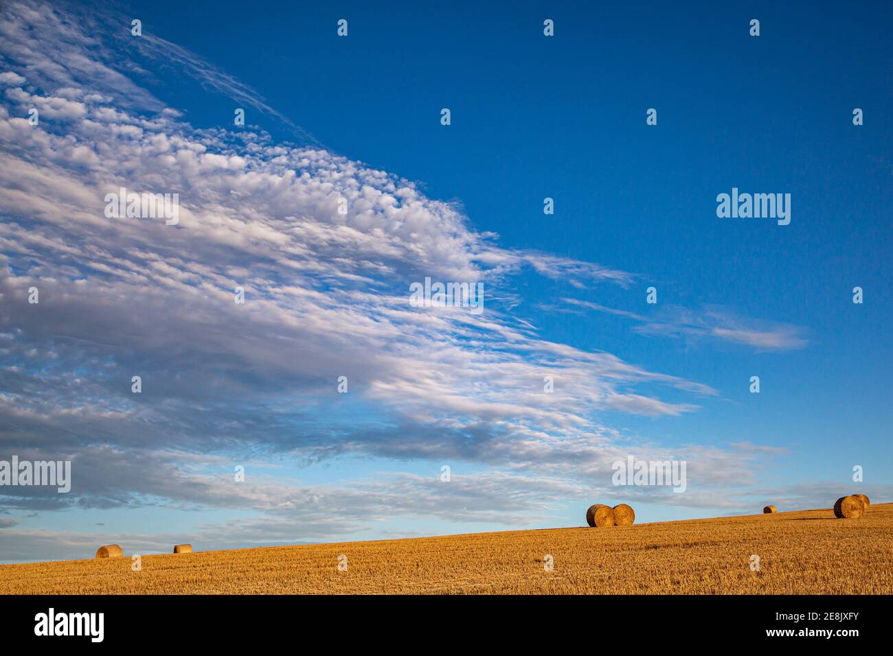 Hay bales in the Sussex countryside with wispy clouds and blue sky ...