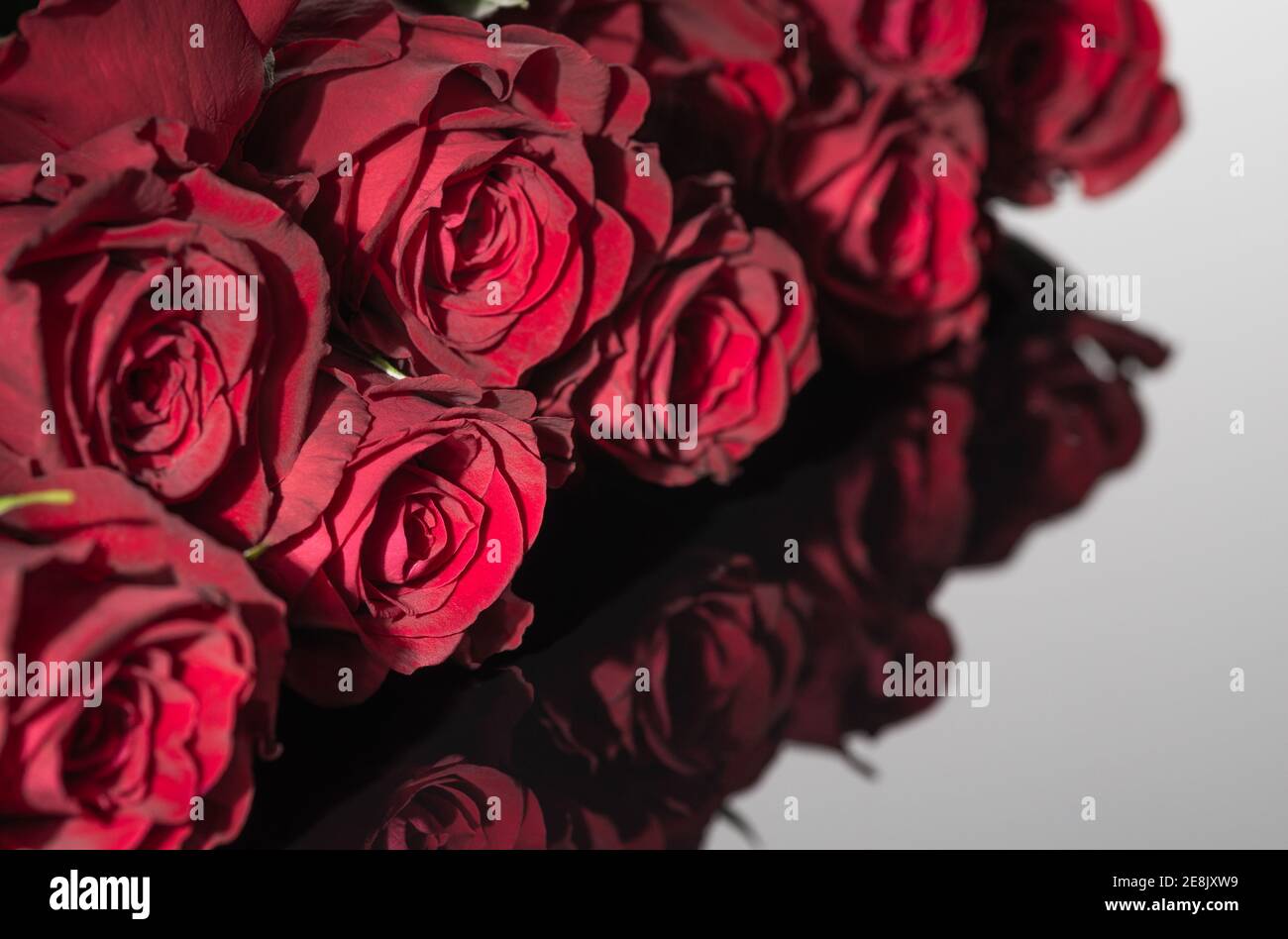 Bouquet of red roses. Great reflection. Greeting card for Valentine's ...