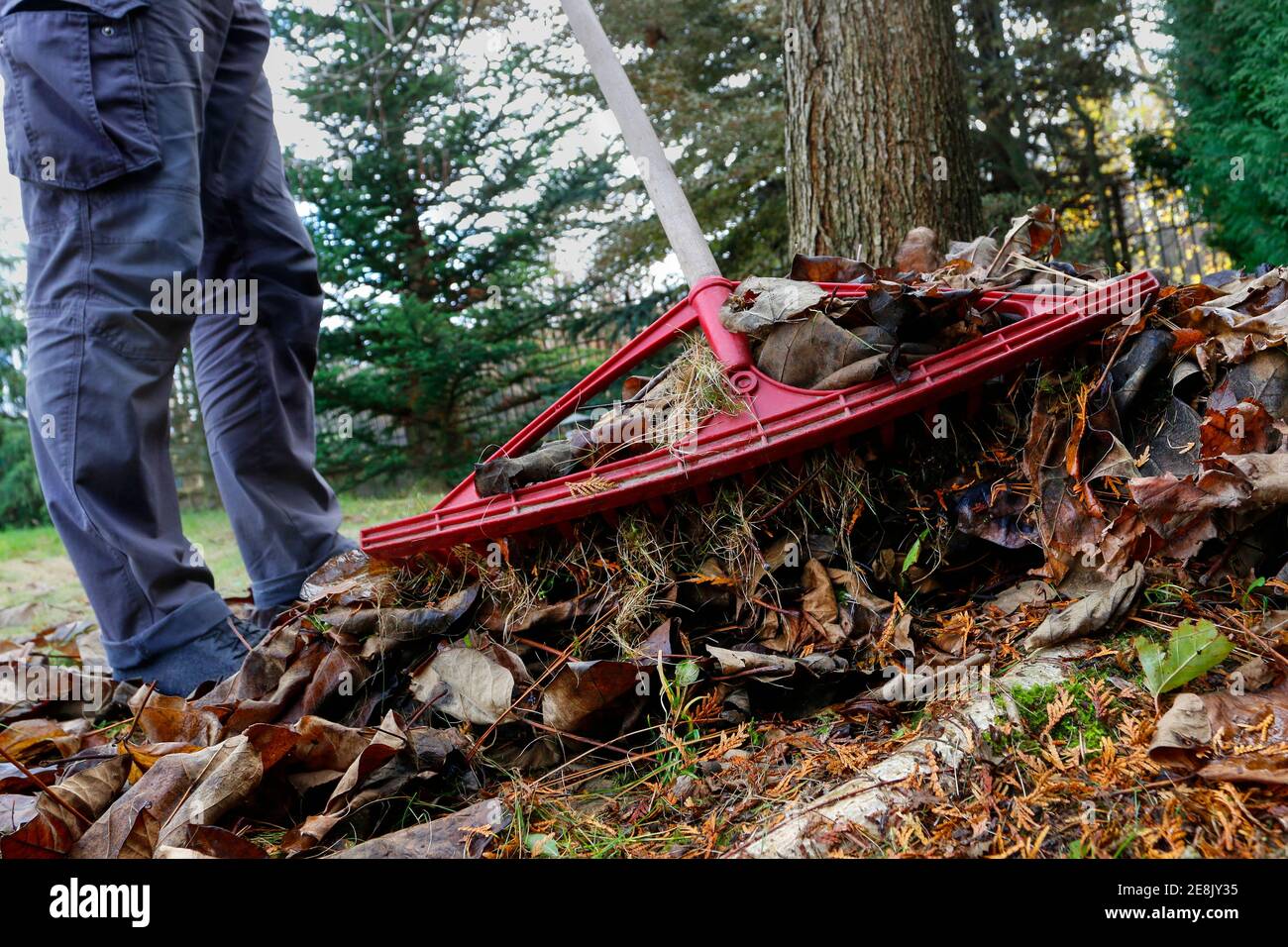 Sweep garden spring hi-res stock photography and images - Alamy