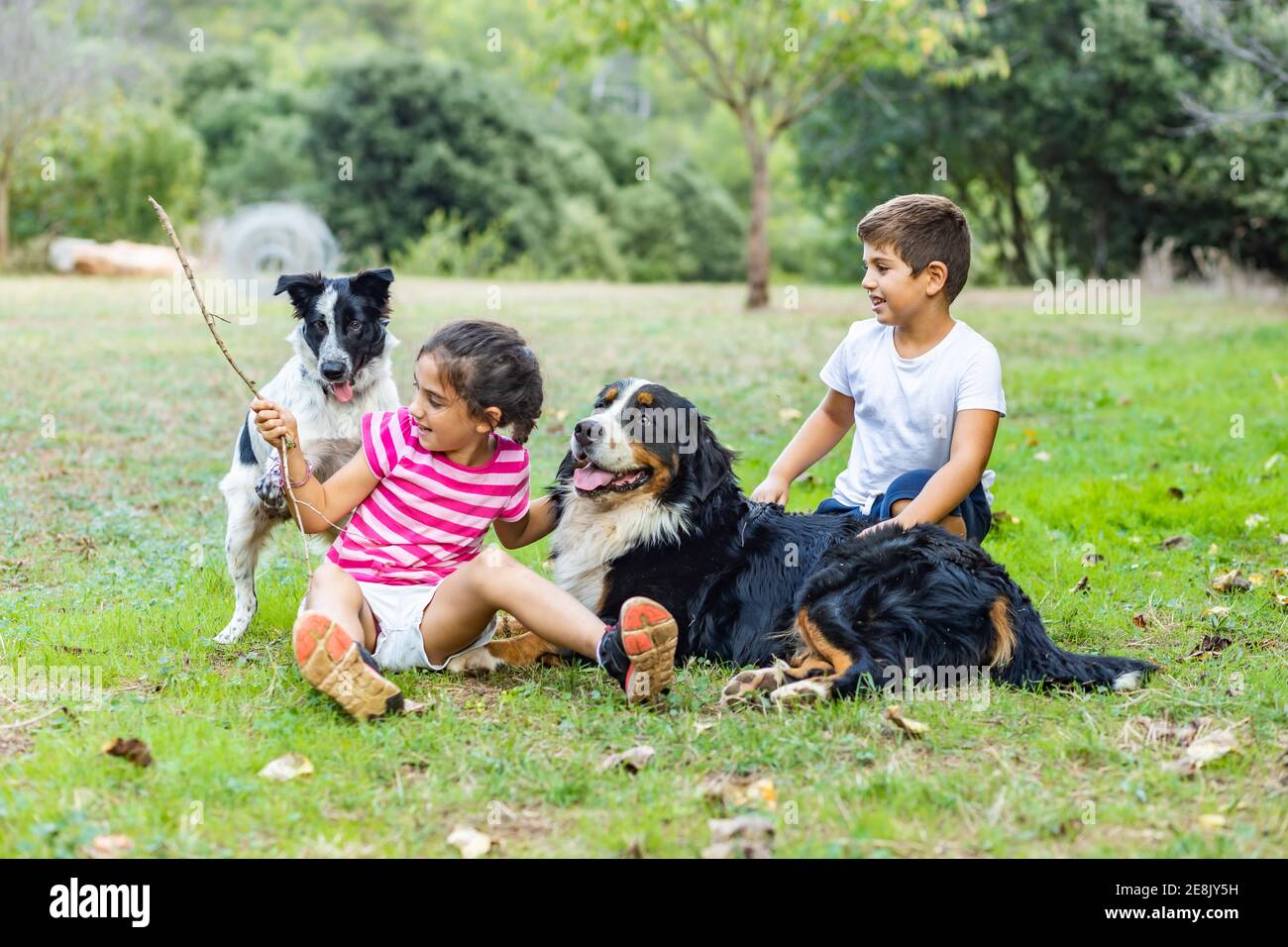 Two kids playing with dogs on a field Stock Photo - Alamy