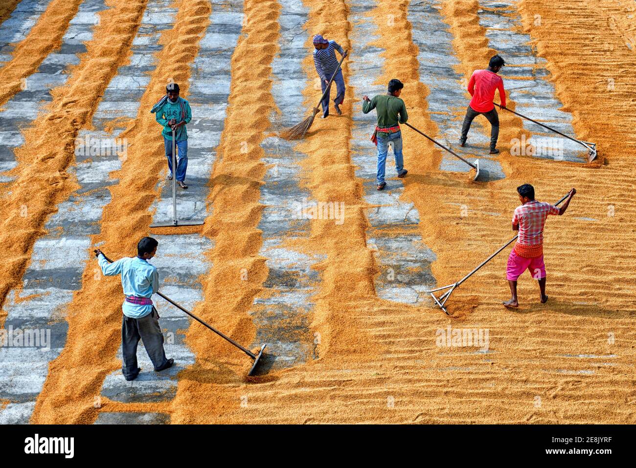 Moisture level hi-res stock photography and images - Alamy